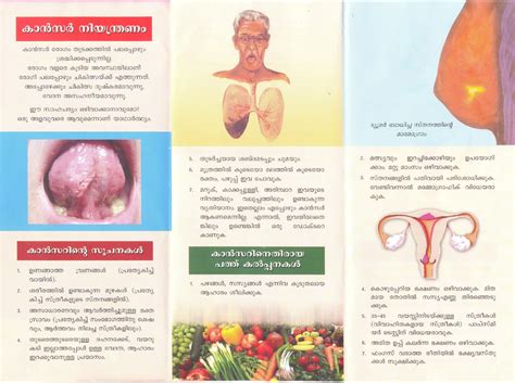 Madikai Health Model Iec Materials