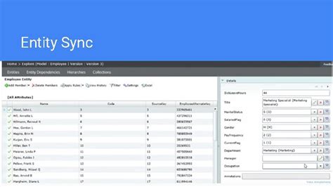 Sql Server Master Data Services Integrao De Dados