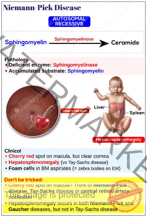 Is Picks Disease Hereditary Picks Disease Xoum