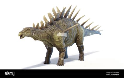 Kentrosaurus Jurassic World Jurassic World Evolution Kentrosaurus By