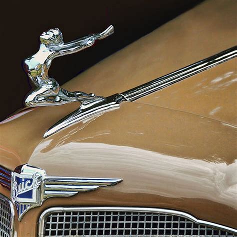 Car Hood Ornament Etsy
