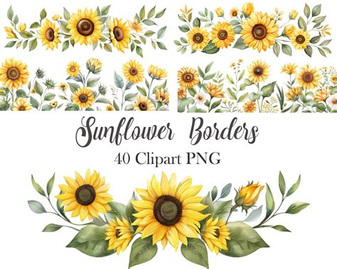 Sunflower Png Watercolor Sunflower Border Clipart Summer Floral