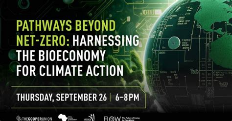 Pathways Beyond Net Zero Harnessing Partnerships In The