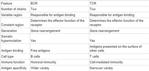 Antigen Recognition Flashcards Quizlet