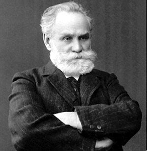 Psycholinguisticshistory And Major Theories Wikiversity