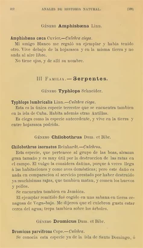 Chilabothrus Inornatus West Indian Boas