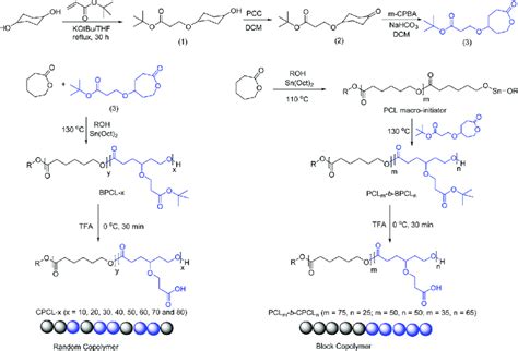 Scheme 1 Synthetic Scheme Of Substituted Caprolactone Monomer And