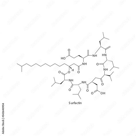Surfactin Flat Skeletal Molecular Structure Lipopeptide Antibiotic Drug