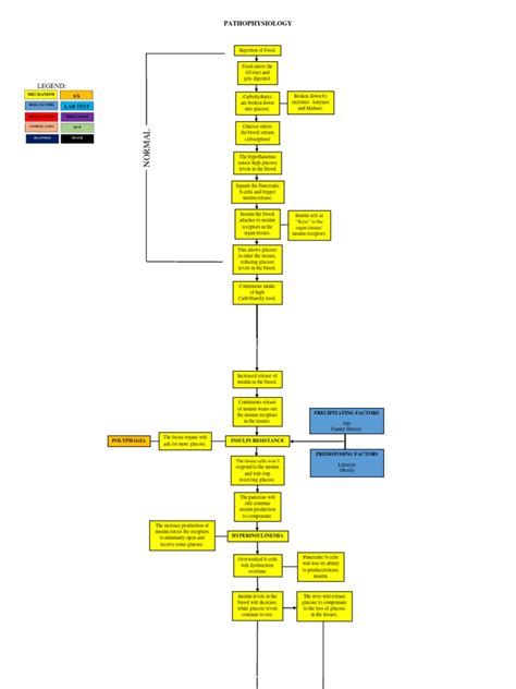 Pathiophysiology Med Ward Revision Pdf Insulin Glucose