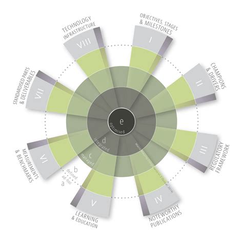 Macro Maturity Components Bime Initiative