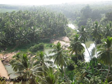 Naanjil Mathur Thottipalam 3