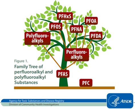 Per And Polyfluoroalkyl Substances Pfass Hazard Evaluation
