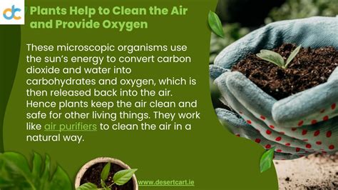 Ppt How Do Plants Help To Keep The Environment Clean Powerpoint