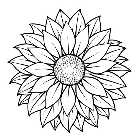 Sunflower Coloring Page Hand Drawn Sunflower Outline Coloring Page