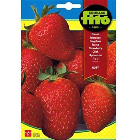 Ruby Strawberry Seeds Dubai Uae Best Online Plants