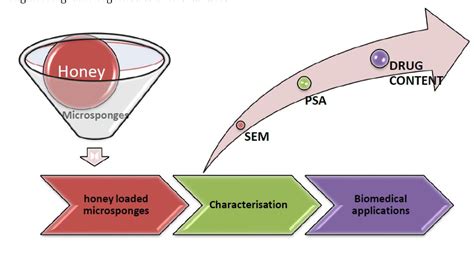 Figure 1 From Fabrication And Characterisation Of Honey Loaded Microsponges Semantic Scholar