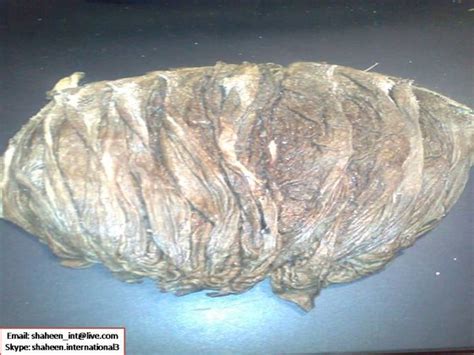 Omasum Id 8340817 Product Details View Omasum From Shaheen International Ec21