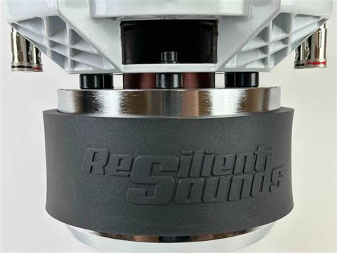 Resilient Sounds Rs Gold 10 1000w 10 Subwoofer Resilient