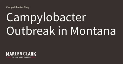 Campylobacter Outbreak In Montana Campylobacter Blog
