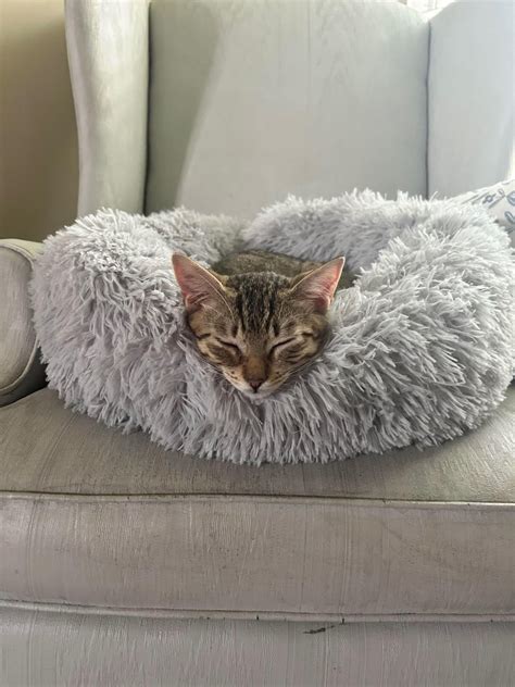 Me Watching Every Lexi Narrated Video From Emkay To Make An My Favorite Lexi Moments