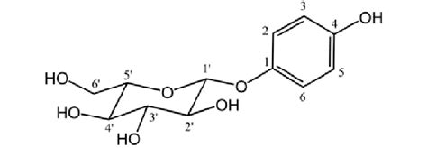 Structure Of β Arbutin 4 Hydroxyphenyl β D Glucopyranoside