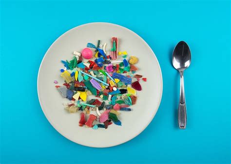 Researchers Find Microplastics In Stool Samples