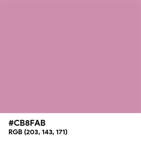 Cb8fab Color Name Is Puce
