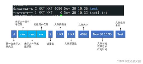 【linux】权限讲解andand详解沾滞位您需要 Root 权限执行此命令。 Csdn博客