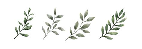 Greenery Vector Art Icons And Graphics For Free Download