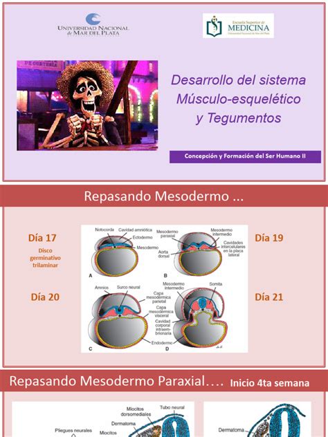 Tarjetas De Trabajo N2pptx Pdf