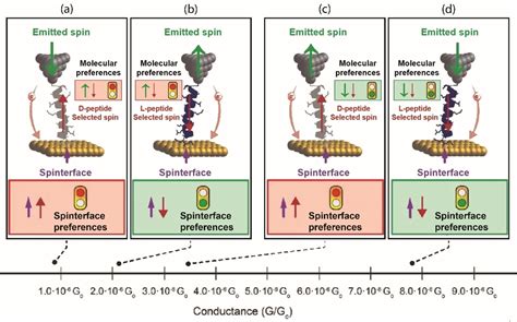 Chiral Induced Spin Selectivity Ciss Effect Israel Journal Of
