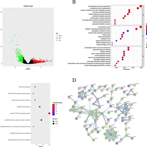 Analysis Of Differentially Expressed Genes Using Bioinformatics On The Download Scientific