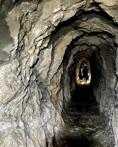 Dubbo 96 Track Loop Walk Echo Walking Festival