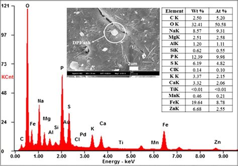 Sem Eds Spectra Of Dpf Ash Particles Coated By Au Pd Download