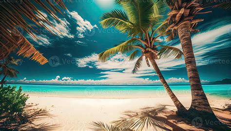 Beautiful Tropical Beach With White Sand Palm Trees Turquoise Ocean