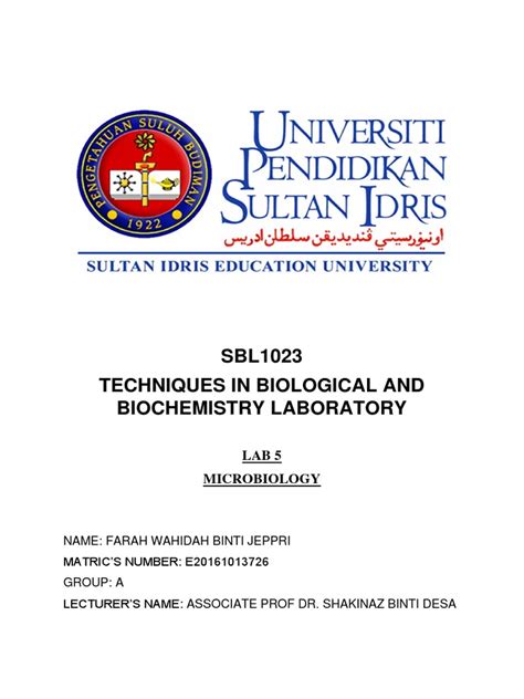 Lab Report 5 Microbiology Pdf Bacteria Microorganism
