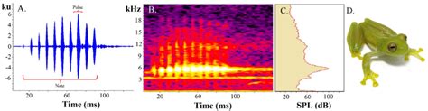 Oscillogram A Audiospectrogram B And Power Spectrum C Of The Download Scientific Diagram