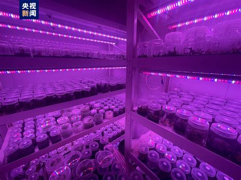 覆盖所有中国珍稀濒危植物 今年它要开工建设啦→云浮新闻网