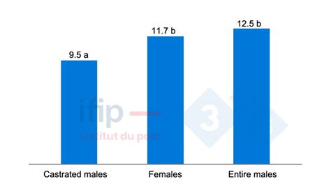 Quality Of Hams From Entire Males Articles Pig333 Pig To Pork