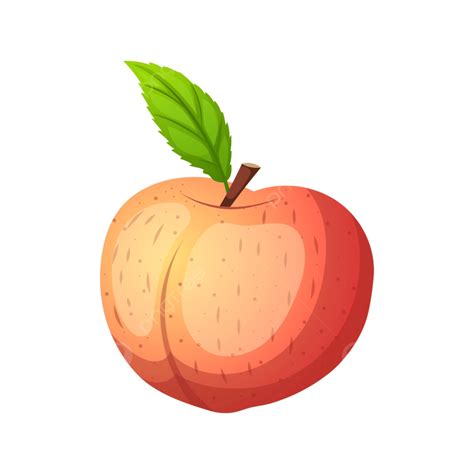 水果桃卡通矢量圖 多汁的 夏天 光滑向量圖案素材免費下載，png，eps和ai素材下載 Pngtree