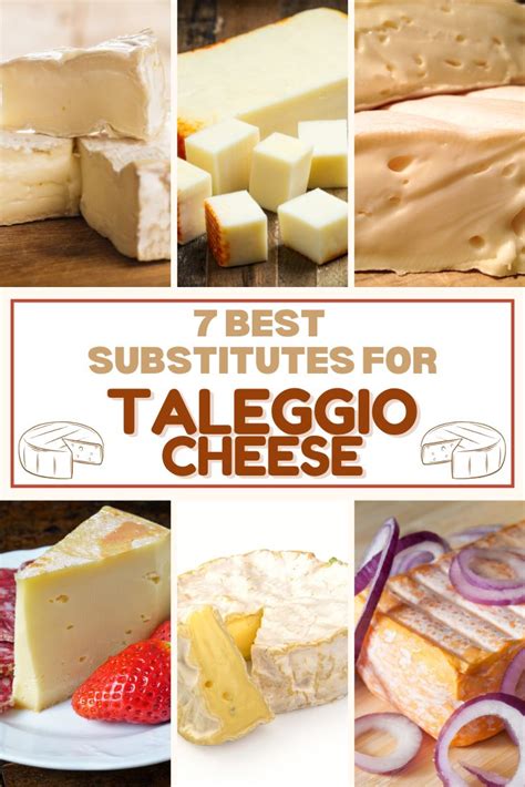 7 Substitutes For Taleggio Cheese That Taste Amazing Cooking My Dreams
