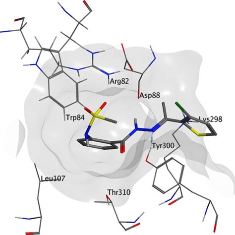 Putative Binding Mode Of Compound 6h Inside P2x7 Receptor Download