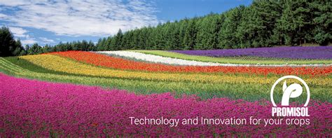 Promisol Technology And Innovation Applied To Your Crops Promisol Manufacturer Of Products