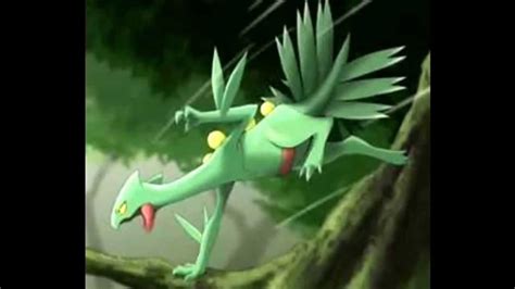 Pokemon Moveset 1 Sceptile Youtube