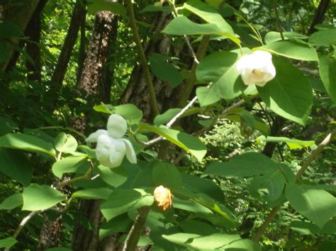 거창 송계사 가는 길에서