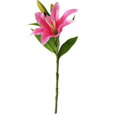 Single Flower With Stem