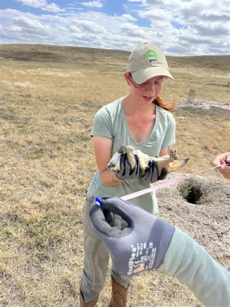 Abbie Heimowitz Alum Profile Preparing To Lead In Wildlife Conservation Stephanie Manka Ph D