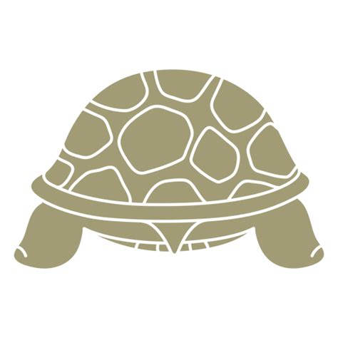 Stylized Turtle Shell Illustration Png And Svg Design For T Shirts