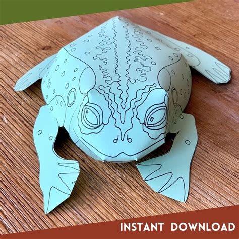 Toad Printable Activity Sheet A4 Pdf Foldable Paper Craft