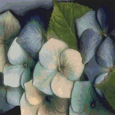 Hydrangea Cross Stitch Pattern Pdf Format Etsy